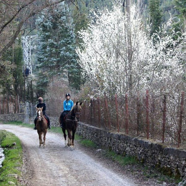 Paseos a caballo en Jaca - Pirineo Ecuestre - Centro ecuestre con ...